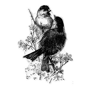 2 Love Birds on Flowers Words Clear Stamps for Card Making Scrapbooking Crafting DIY Decorations, Birds and Flowers Transparent Silicone Seal Stamps for Embossing Album Crafts