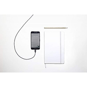 Native Union Type-C Belt Cable - USB-C to USB-C 4ft Ultra-Strong Charging Cable Compatible with iPad Pro 2018-21, iPad Air 5, Microsoft Surface Go 3, Google Pixel 6, Samsung Galaxy S22 (Zebra)