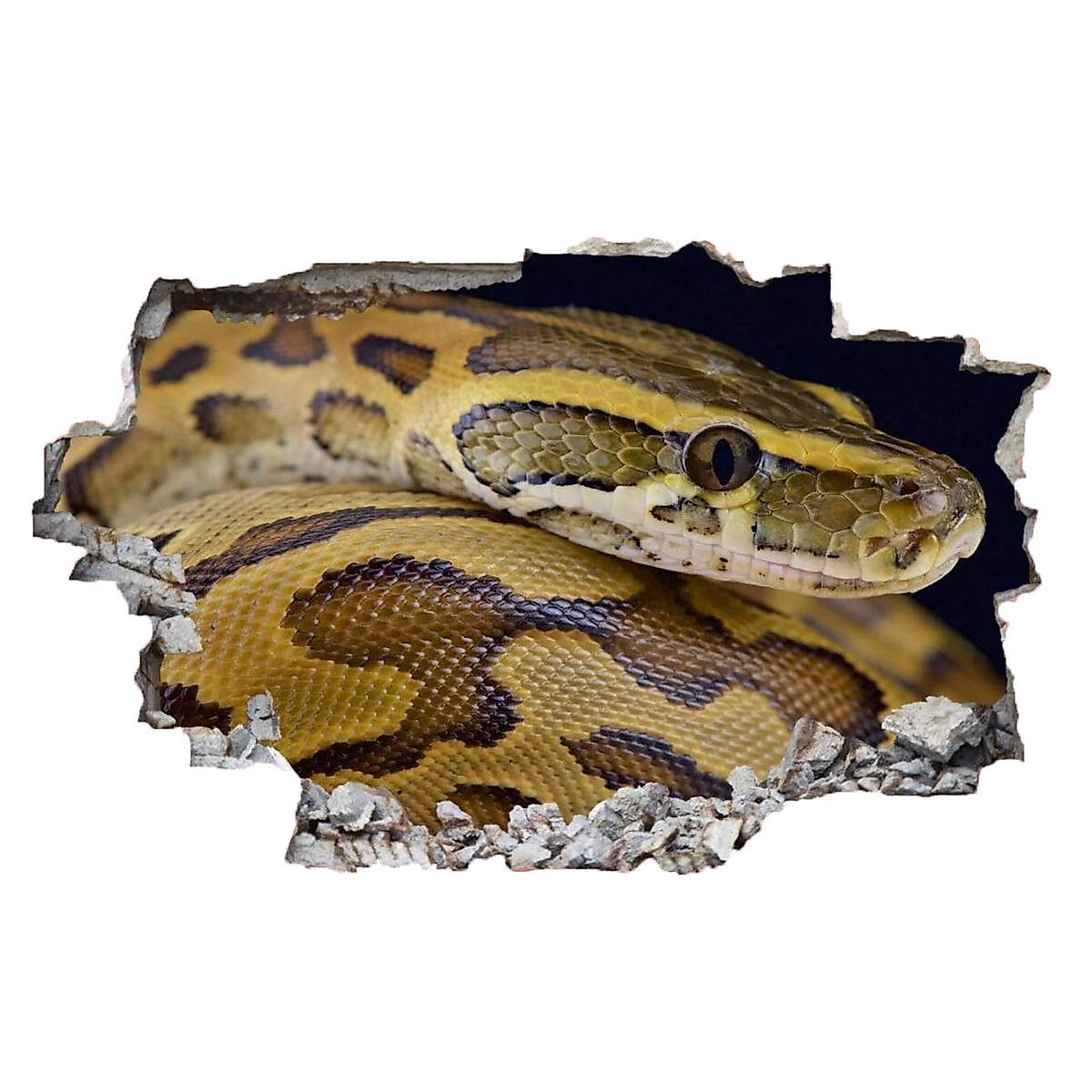 Animal Wall Decals Art 3D Smashed Snake Removable Wall Stickers Modern Wall Mural Bedroom Self Adhesive Vinyl for Girls Kids Bedroom Nursery Home Decor Gift 26 x 18 Inch