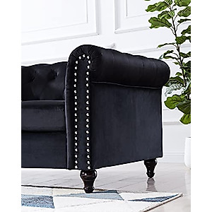 Melpomene Black Velvet Living Room Loveseat Sofa with Button Tufted Nailhead and 2 White Villose Cushions (2 seat)
