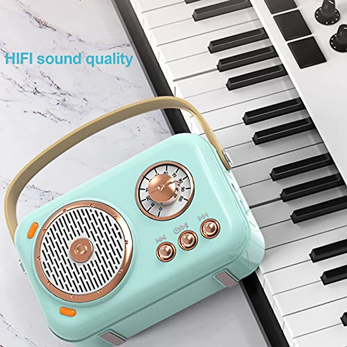 Portable Bluetooth Speaker with Microphone Set,Retro bluetooth speaker with Home Karaoke Machine,Portable Handheld Karaoke Mics Speaker Machine for Kids and Adults Home Party Birthday (Blue)