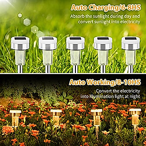 HYWGDLT 16 Pack Solar Pathway Lights Outdoor 10Lumen Dual Light Source LED Solar Waterproof Pathway Lights for Garden Patio and Walkway Decoration Warm White.