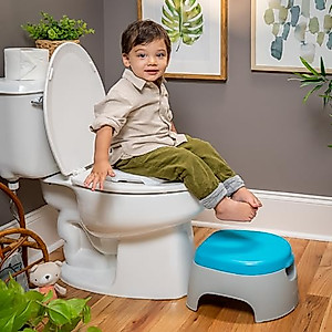 Summer Infant 3-in-1 Train with Me Potty Seat Topper and Stepstool for Toddler Training and Beyond Easy to Empty and Clean Space Saving, Multicolor, 12.7x7.7x14.8"(Pack of 1)