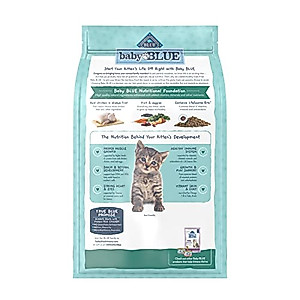 Blue Buffalo Baby BLUE Healthy Growth Formula Grain Free High Protein, Natural Kitten Dry Cat Food, Chicken 4.5-lb