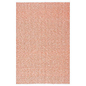 SAFAVIEH Nantucket Collection 4' x 6' Rust NAN144P Handmade Cotton Area Rug