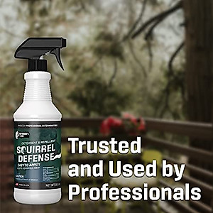 Exterminators Choice - Squirrel Defense Spray - 32 Ounce - Natural, Non-Toxic Squirrel Repellent - Quick and Easy Pest Control - Safe Around Kids and Pets - Deters But Doesn’t Harm