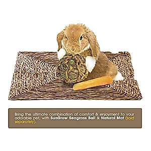 SunGrow Seagrass Balls for Rabbit, for Pet’s Gums & Teeth, Chewable Teething Activity Toy for Gerbils, Guinea Pig, Dwarf Bunny, 1 Pc
