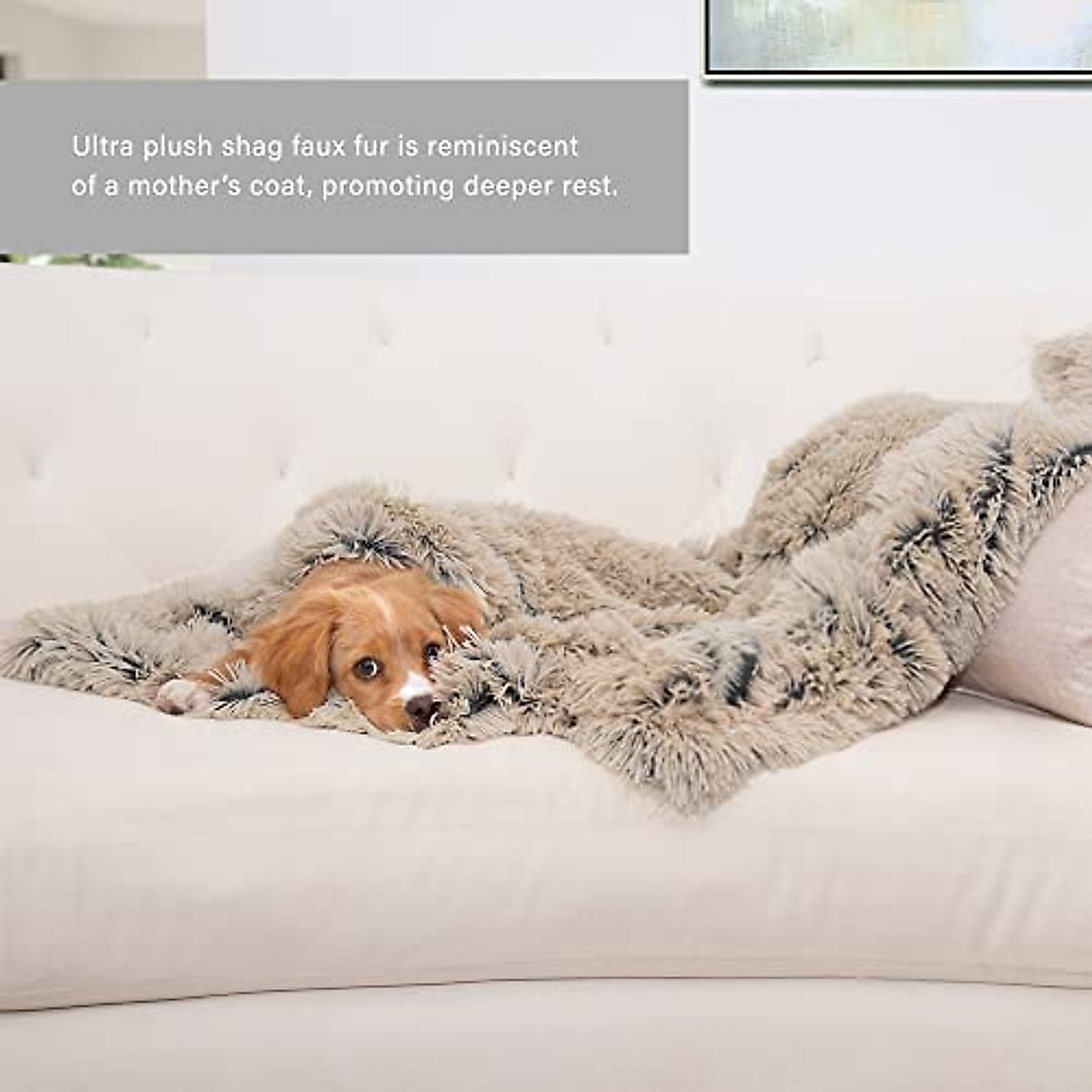 Best Friends by Sheri Calming Shag Fur Pet Throw Blanket, Taupe, 30"x40"