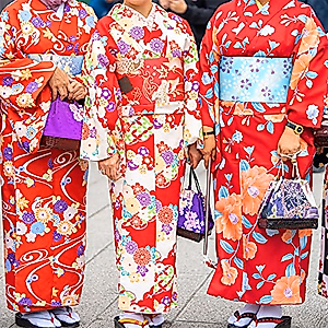 40 Pcs Japanese Jelly Cotton Fabric Patchwork Roll, 2.55 Inch Roll Up Cotton Fabric Quilting Strips, Jelly Fabric Patchwork Craft Cotton Fabric for Quilters and Sewing DIY Crafts (Japanese Style)