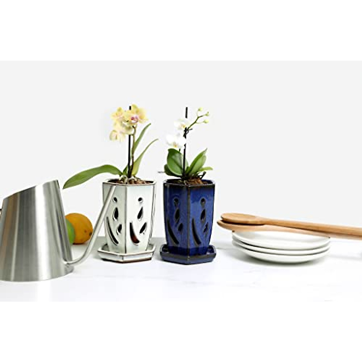 rePotme) 4 x 6 inch Hexagon Ceramic Orchid Pot with Matching Saucer (Teal Jade)