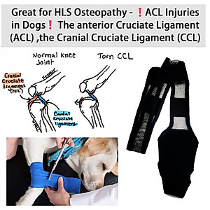 Pacify Dog Knee Brace, Dog Leg Braces for Back Leg, Dog Knee Brace for Torn ACL Hind Leg for Keep The Joint Stable and Warm(Large)