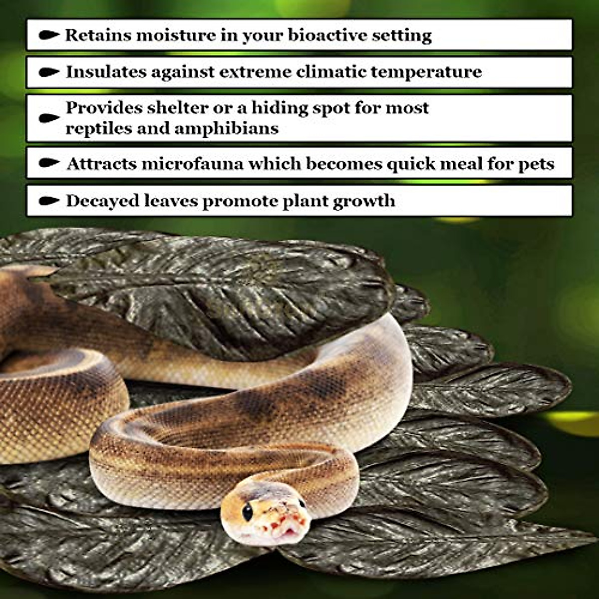 SunGrow Saver Bundle Pack - Catappa Leaves 30Pcs/Pack + Large Leaf Hammock