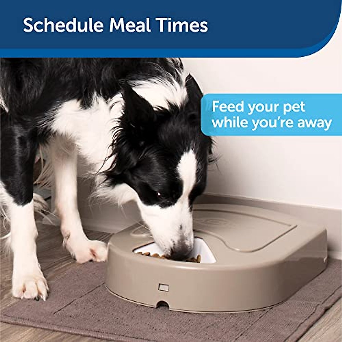 PetSafe 5 Meal Dog Food Dispenser - Storage for Up to 5 Cups of Kibble or Treats of Any Size - Tray Automatically Rotates According to User Programming to Deliver Pre-Planned Meals at Precise Times