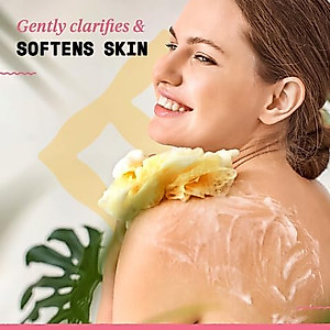 Alaffia Authentic African Black Soap Variety 2-Pack – All-In-One Liquid Soap, Travel-Size Eucalyptus Tea Tree + Full-Size Rosewater Peony Body Wash, Face Wash, Shampoo, Shaving Soap