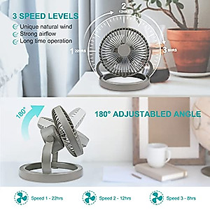 Teioe Camping Fan with LED Lantern, 8000 mAh Battery Operated Tent Fan with Hook, Rechargeable Table Fan for Camping, Fishing, Jobsite, Office, Emergency (Grey)