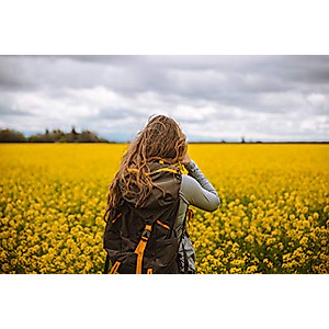 ALPS Mountaineering Clay/Apricot, 45L