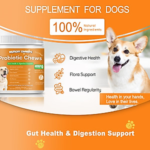 Munchy Chomps Probiotics Chews for Dogs - Gut Health & Digestion Support with PreforPro & Bacillus Subtilis - Promotes Bowel Regularity & Immune Strength (Chicken)