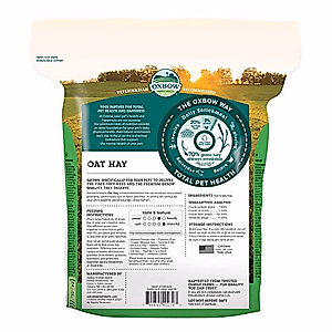 Oxbow Animal Health Oat Hay - All Natural Hay for Rabbits, Guinea Pigs, Chinchillas, Hamsters & Gerbils - 15 oz.
