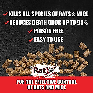 EcoClear Products 620100-6D RatX All-Natural for All Speices Rat and Mouse, 8 oz. Bag