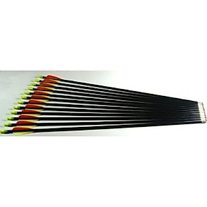 12 Shiny Black® 30" Fiberglass Target Practice Arrows