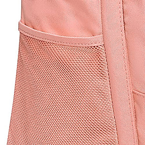 Nike Hayward 2.0 Backpack DV1296-824 Lt Madder Root/Atmosphere, One Size