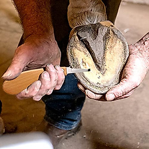 Hoof Knives Kits Hoof Knife Sharpener 2 in 1, Farrier Tool Kits - Hoof Knife Right Hand Narrow Blade Farrier Equine Horse Wooden Handle Steel, Hoof Knife Sharpener Diamond Coating