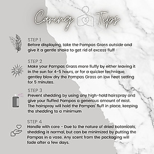 Livmore White Pampas Grass 35 Pcs, 19 inches/48cm Fluffy Natural Dried for Boho Wedding Centerpieces, Photography and Home Decor, Flower Arrangement Vase Fillers ,Kitchen and Garden Decorations