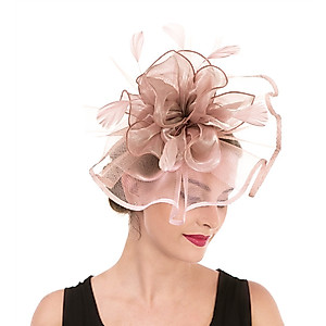 Fascinator Women's Organza Church Kentucky Derby British Bridal Tea Party Wedding Hat Summer Ruffle Hat(Hj2-Pink)