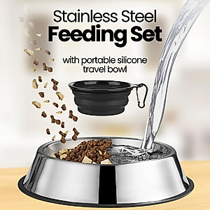 PupLuxe Puppy Starter Kit | Black 22 Piece Puppy Kit Great for Dog Training Kit | A Great Welcome Puppy Gift | New Puppy Kit Great for First Time Owners and Experience Owners | New Dog Bundle