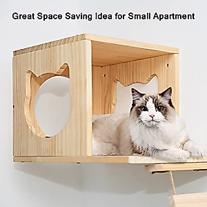 Cat Wall Shelves, Cat Shelves and Perches for Wall, Cat Wall Furniture Set 5 PCS Cat Wall Mounted with 1 Cat Condos House, 2 Cat Wall Shelves, 1 Cat Sisal Scratching Post, 1 Ladder