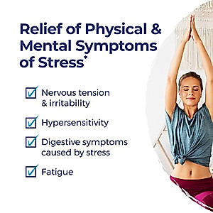 Boiron StressCalm On The Go for Relief of Stress, Anxiousness, Nervousness, Irritability, and Fatigue - 2 Count (160 Pellets)