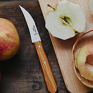 OPINEL Essentials Kitchen Knife Box Set - Olive Wood