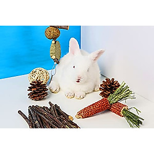 Rabbit Chew Toys for Teeth, Bunny Molar Toys, Small Animal Chew Molar Toys Natural Flower Timothy Grass Cake Pinecones and Corn Toy for Rabbits Chinchilla Hamsters Guinea Pigs Gerbils… (Style 1)