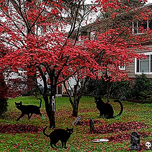 Halloween Yard Signs Stakes Outdoor Decorations - 3PCS Black Cat Lawn Decorations Signs for Garden Yard Scary Halloween Witch Decorations Outside