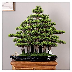 Artificial Bonsai Tree Creative Simulation Welcome Pine Bonsai Chinese Living Room Potted Large Green Plants Indoor TV Cabinet Landscape Decoration Gifts Simulation Bonsai Trees (Color : A)