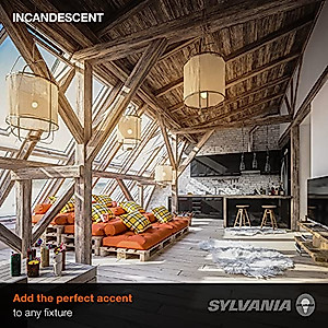 LEDVANCE Sylvania 16144 DOUBLELife G25 Light Bulb 2850K 24, Warm White