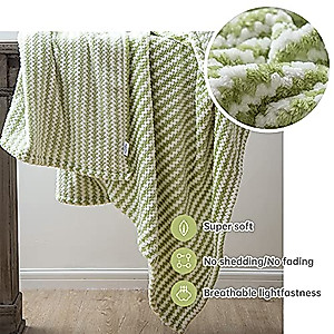 Simple&Opulence Dot Velvet Throw Blanket, Lightweight Striped Blanket for Sofa/Bed/Couch, Ultra Soft, Plush, Cozy and Warm, Green and White, 50''x60''