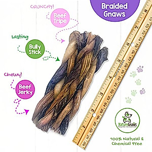 Nature Gnaws Braided Gnaws for Dogs - Premium Natural Beef Dog Chew Treats - Combo of Bully Sticks, Gullet Jerky and Tripe Twists - Rawhide Free