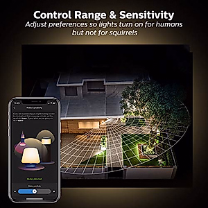 Philips Hue 541730-2 Hue Outdoor Indoor Motion Sensor, Black