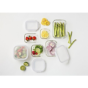 LOCK & LOCK Purely Better Glass Food Storage Container with Lid, 21 Ounce, Clear