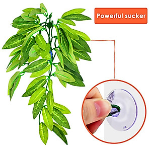 KATUMO Reptile Plants, 3 PCS Amphibian Hanging Plants with Suction Cup for Lizards, Geckos, Bearded Dragons, Snake, Hermit Crab Tank Pets Habitat Decorations