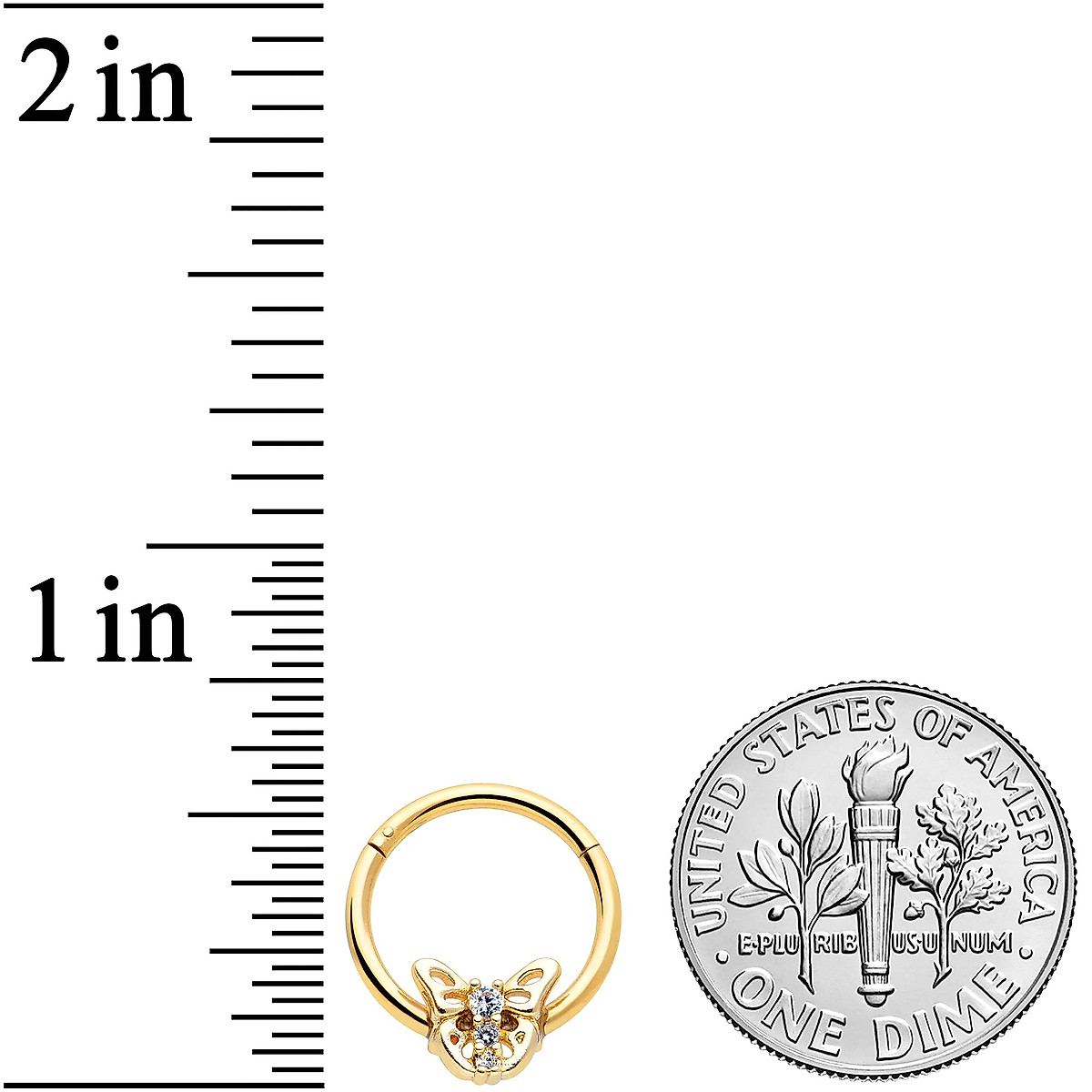 Body Candy Womens 16G PVD Steel Hinged Segment Ring Seamless Cartilage Nipple Open Butterfly Nose Hoop 3/8"