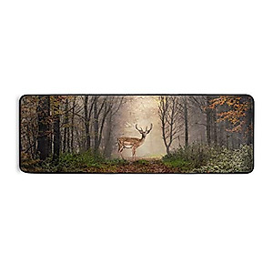 ALAZA Fallow Deer Dreamy Misty Forest Runner Area Rug Non Slip Floor Mat for Hallway Entryway Living Room Bedroom Dorm Home Decor 72x24 inches