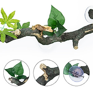 REPTIZOO 3 PCS Reptile Climbing Branch Terrarium Plants Decor with Suction Cup Resin Spliceable Corner Branch for Amphibian Snake Lizards Geckos Habitat Decor