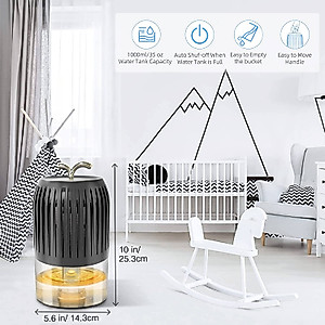 Donatello Small Dehumidifiers for Home, 35 OZ Ultra Quiet Dehumidifiers with 7 Color LED Light & Auto Shut Off, 280 sq.ft Mini Dehumidifiers for Bathroom Bedroom RV Closet Office Kitchen