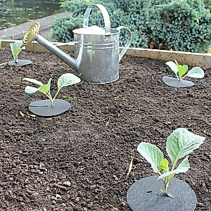 Gardening Naturally Cabbage Collars Pack of 20, Black