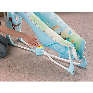 Fisher-Price Soothe & Go Bouncy Seat