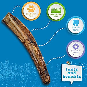 Jack&Pup 6" Beef Rib Bones for Dogs | Natural Dog Bones for Small Dogs | Flavorful and Fun Dog Chew Bones (13 Pack)