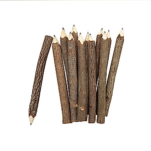 BSIRI Pencil Wood Favors of Graphite Wooden Tree Rustic Twig Pencils Unique Birch of 12 Camping Lumberjack Decorations Party Supplies Novelty Gifts as a Natural Pencil Gifts for Kids in Classroom