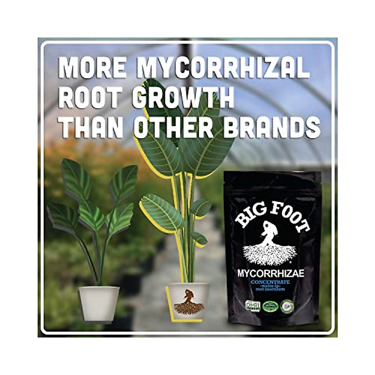 Big Foot Water-in Brew - Soil Drench and Organic Fertilizer | Mycorrhizae + Worm Castings + Kelp + Azomite,+ Biochar + Humic Acid - (8 oz)